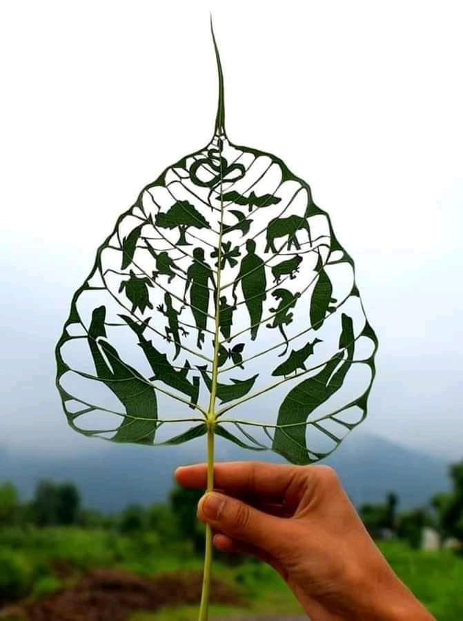 Shristi Dhakal's post on Goodwall - Goodwall Content Creator # ...