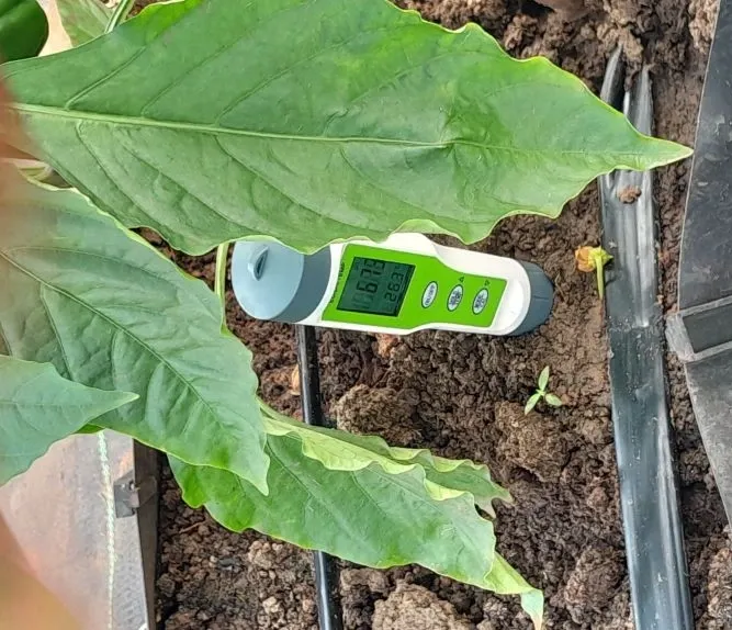 Jumoke Thompson's post on Goodwall - A soil pH meter is a handy tool ...