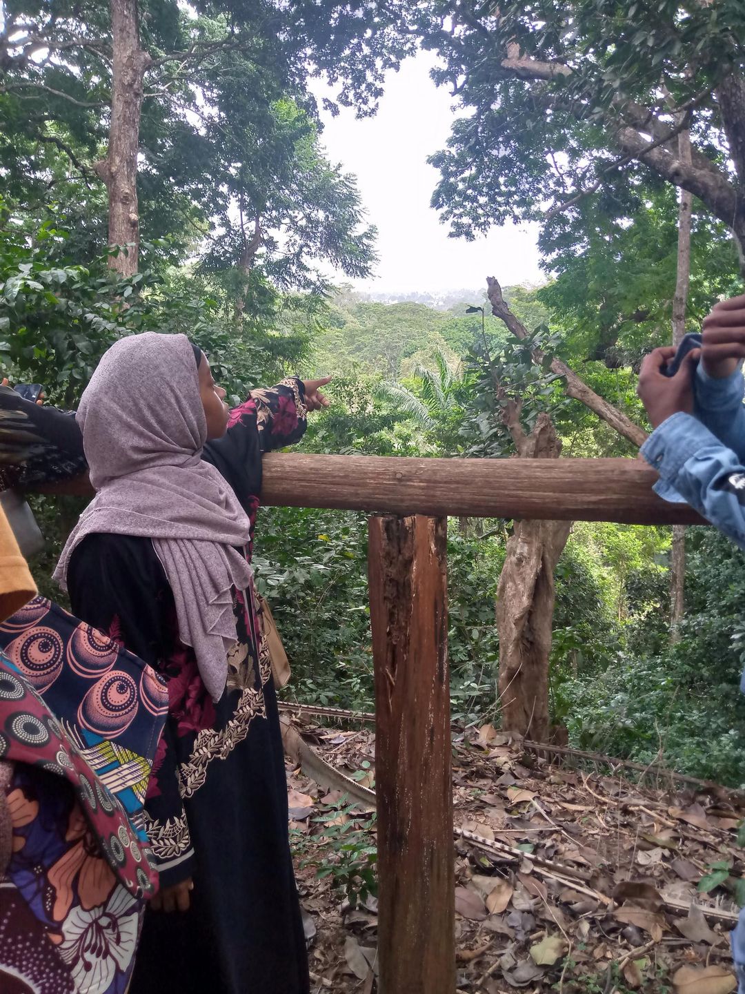Maryam Mussa's post on Goodwall - A tour to masingini natural forest # ...