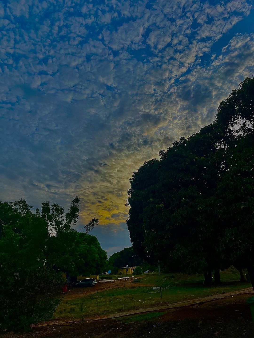 Rahima K Salihu's post on Goodwall - Snapped this gem while out on my evening stroll! I am a ...