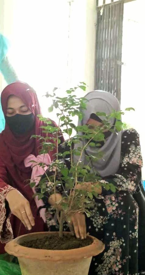 Sayma Muna's post on Goodwall - We should plant more trees.our world is becoming warmer.we ...