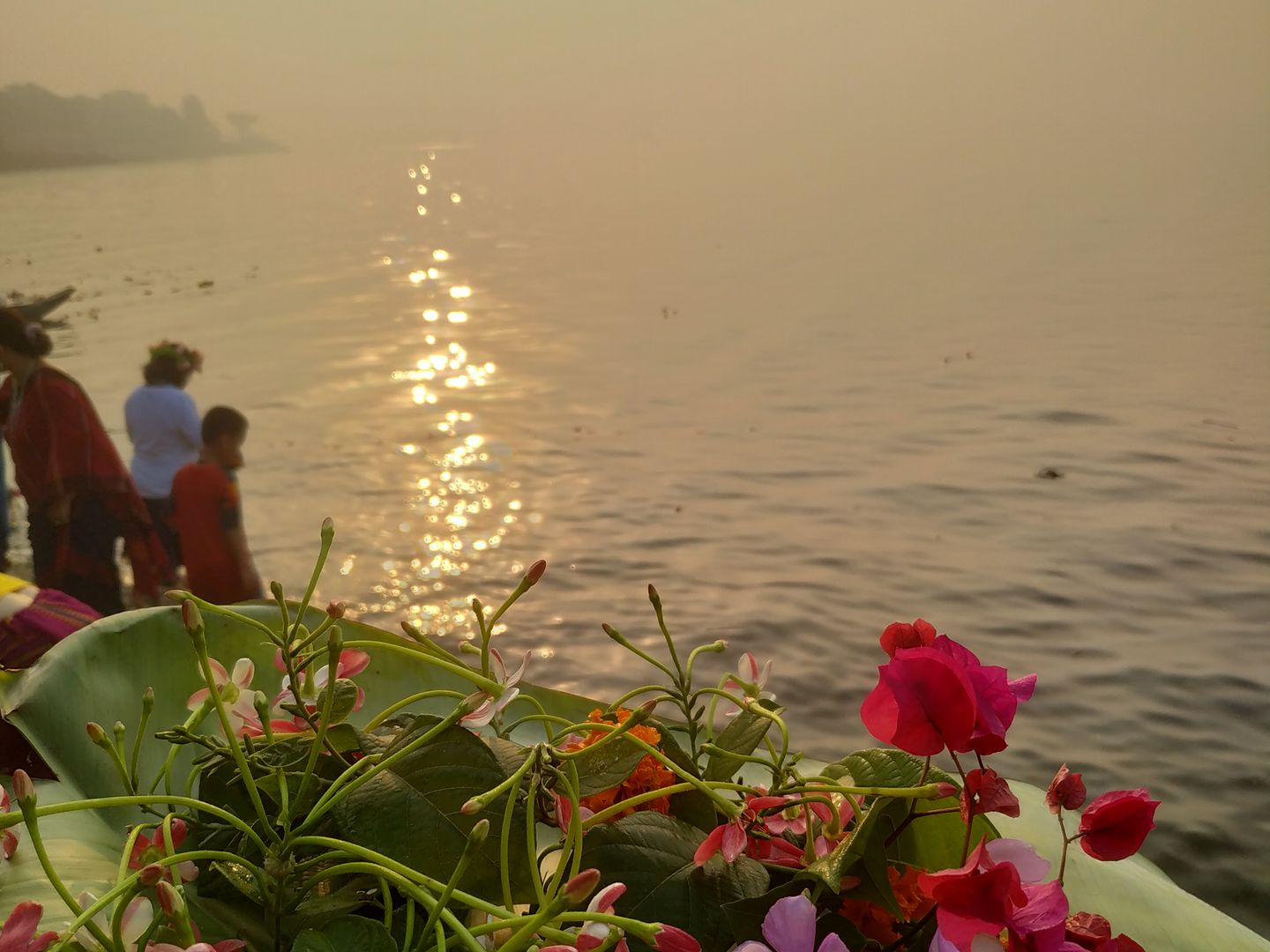 Janusi Chakma's post on Goodwall - I am, the part of the indigenous ...