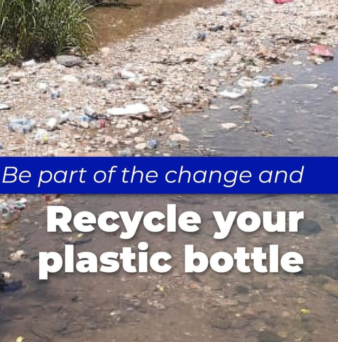 Diara Mc Shine's post on Goodwall - The future of green depends on us# ...