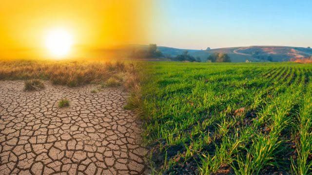 Ruth Murugi's post on Goodwall - "🌍 #ClimateMatters: This image ...