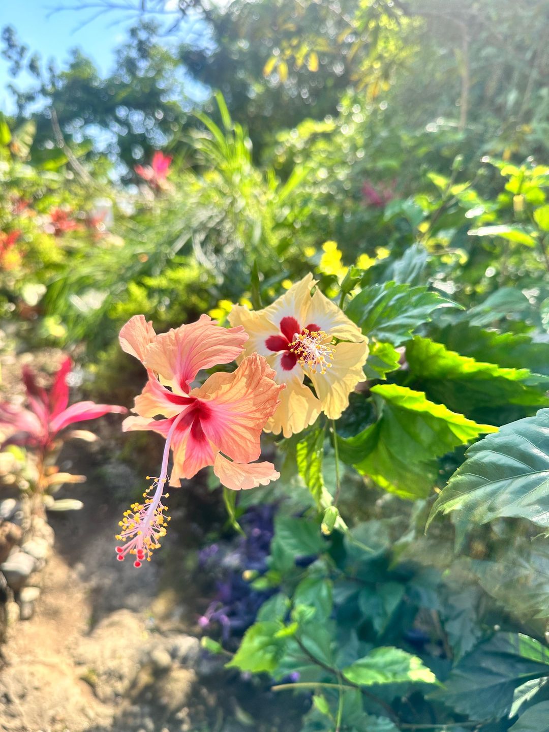 Lea Lee's post on Goodwall - This photo is a look from my point of view ...