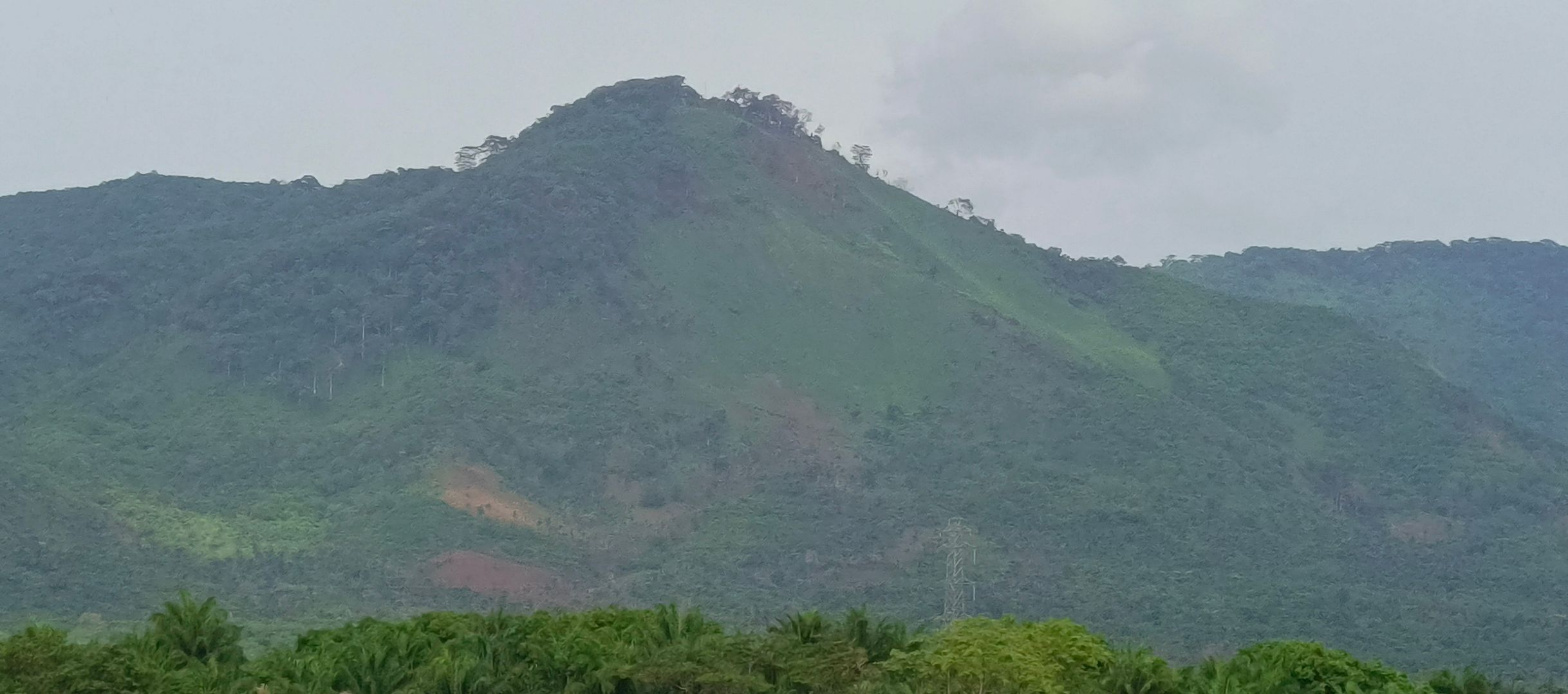 Kanu Edward Stephen Mansaray's post on Goodwall - I took these pics ...