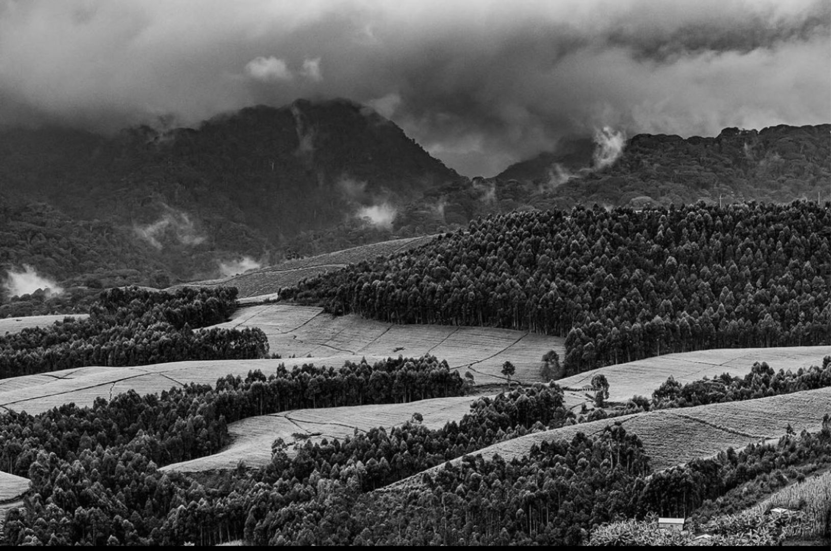 Uyizeye Aime Bonheur's post on Goodwall - This photo shows a beautiful ...