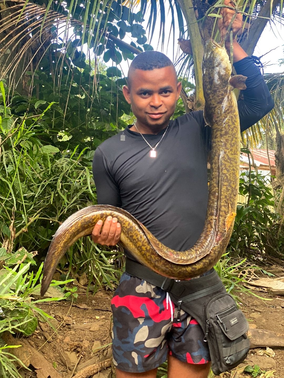 Vazaha Corneille's post on Goodwall - Amalona de Madagascar # ...