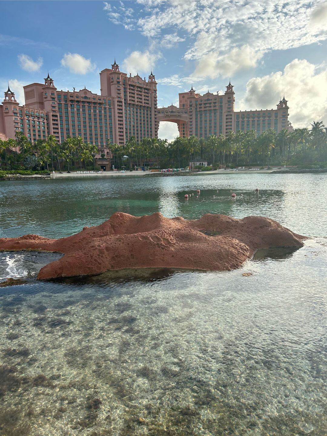 Sam Nash's post on Goodwall - This is my favorite photo, because I ...