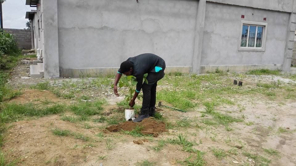 Chuma Banda's post on Goodwall - Tree planting lusaka ,I love planting ...