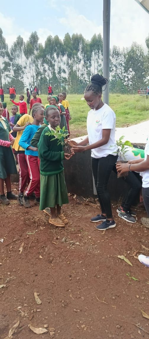 Nancy Wanjiru's post on Goodwall - Planting trees is more than just ...
