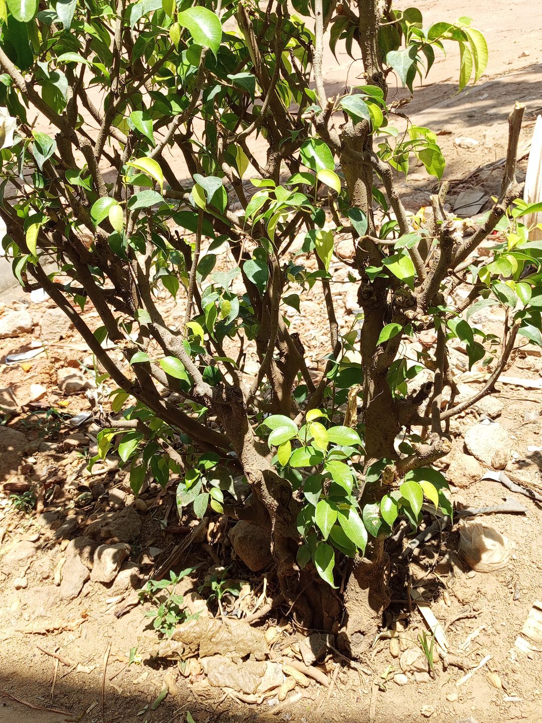 HASSAN ALIYU's post on Goodwall - This is my #BestPhoto2025 because the ...