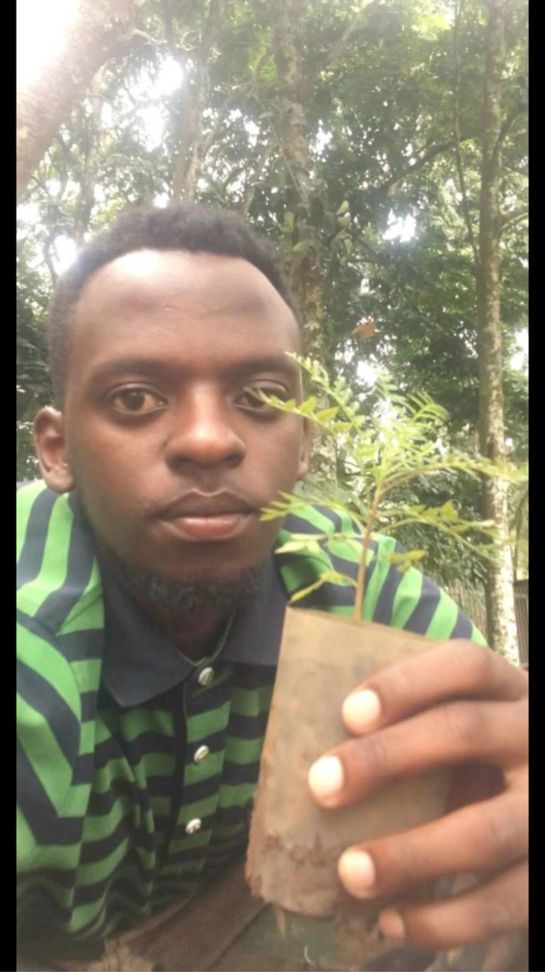 MUGISHA Fred's post on Goodwall - Tree species planted 🌳: Jacaranda ...