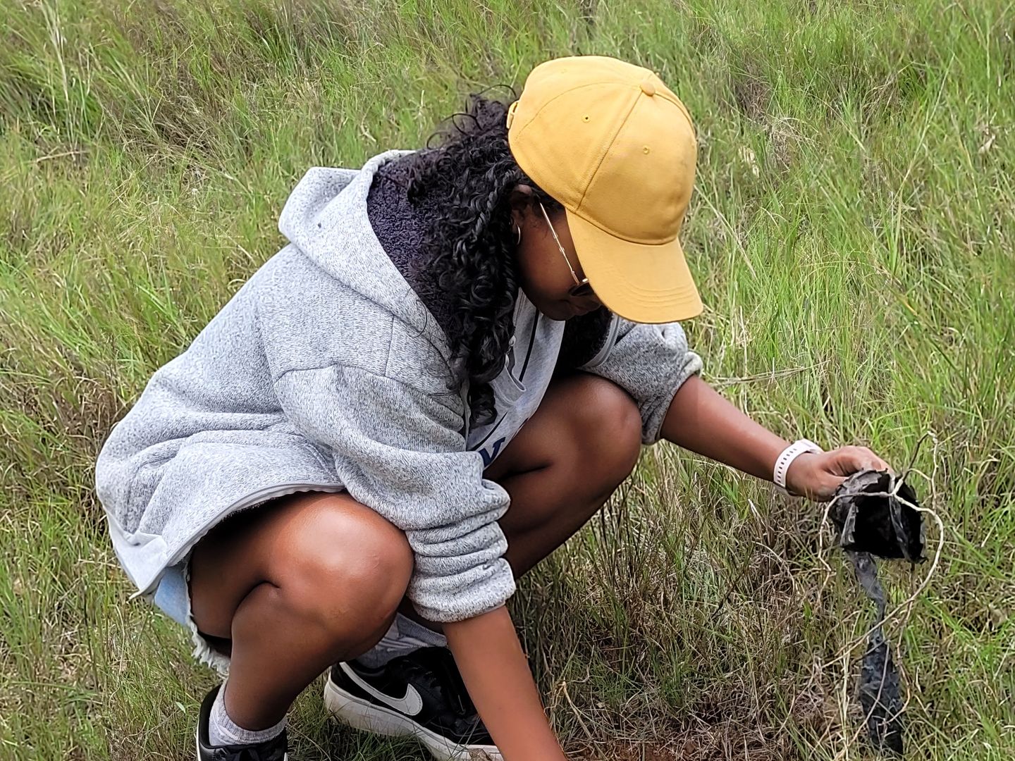 Malalatiana RAVELOSON's post on Goodwall - I planted a tree here in ...