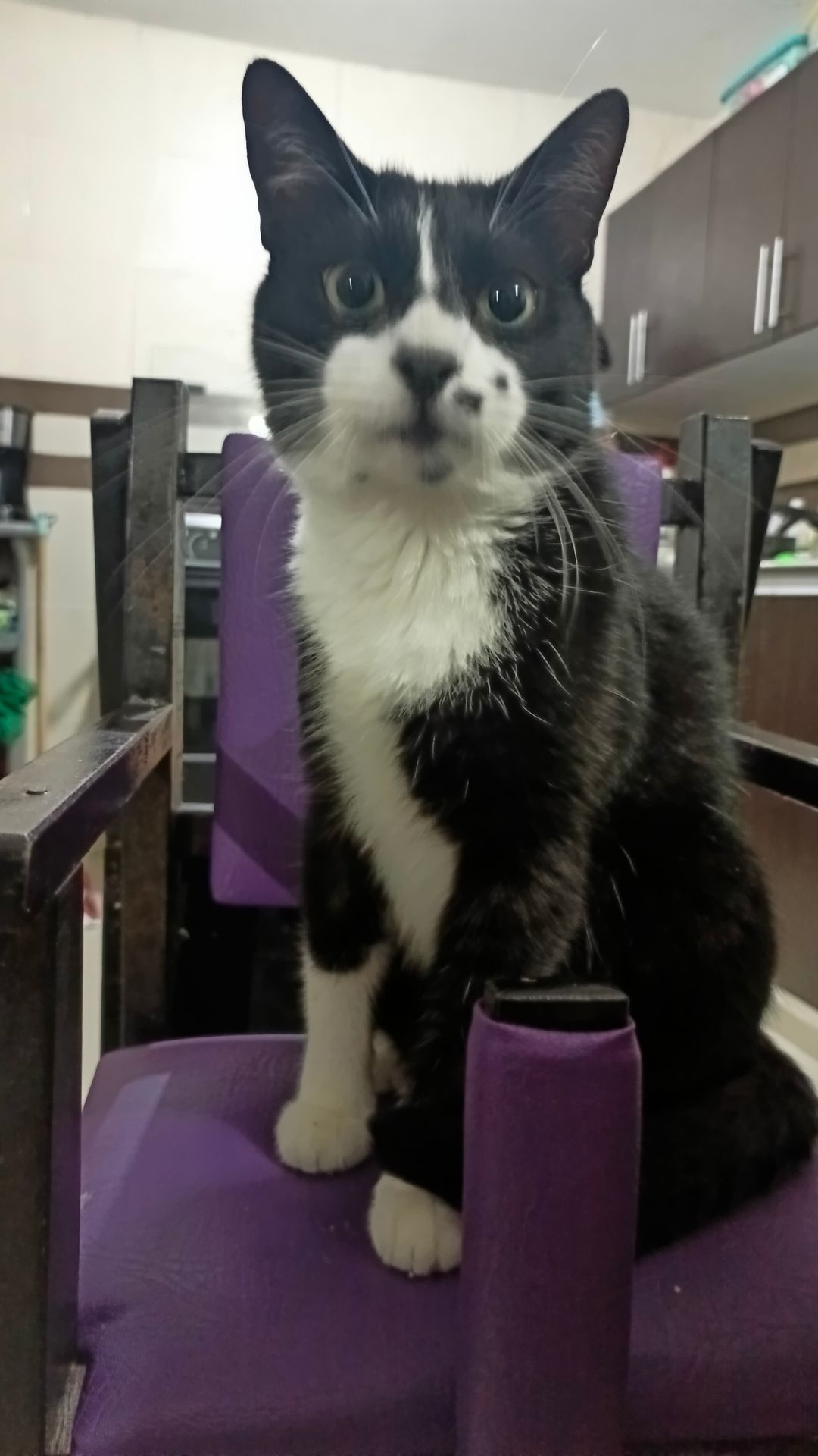 Silvia Pico's post on Goodwall - La historia de Alejandro, mientras ...