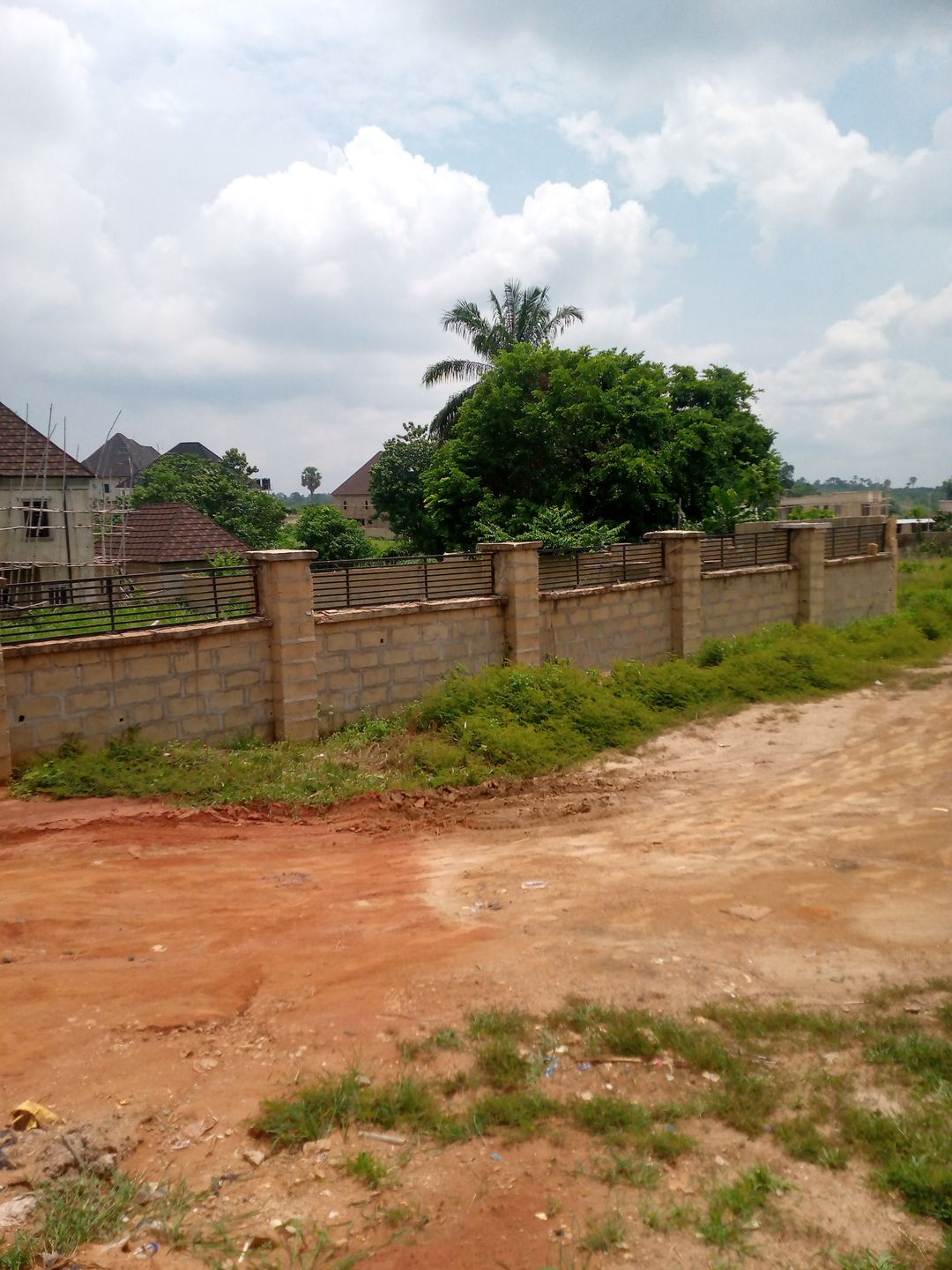 RAPHAEL MOLOKWU's post on Goodwall - The healing power of living closer ...