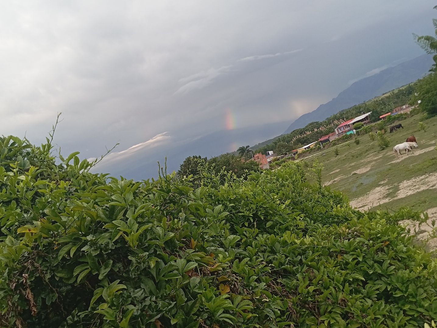 Yeily Toscano Yañez's post on Goodwall - Un mundo 🌎 que es maravilloso ...
