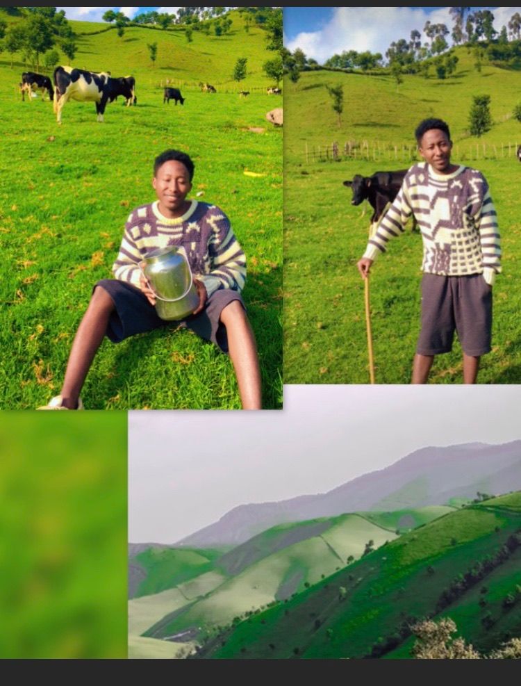 Nsengiyumva Faustin's post on Goodwall - #Explorer Cow Tourism :A ...