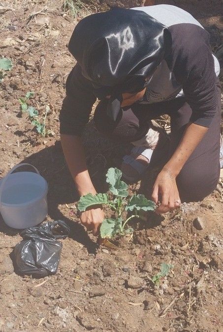 Lerato Phori's post on Goodwall - This is me planting vegetables tree ...