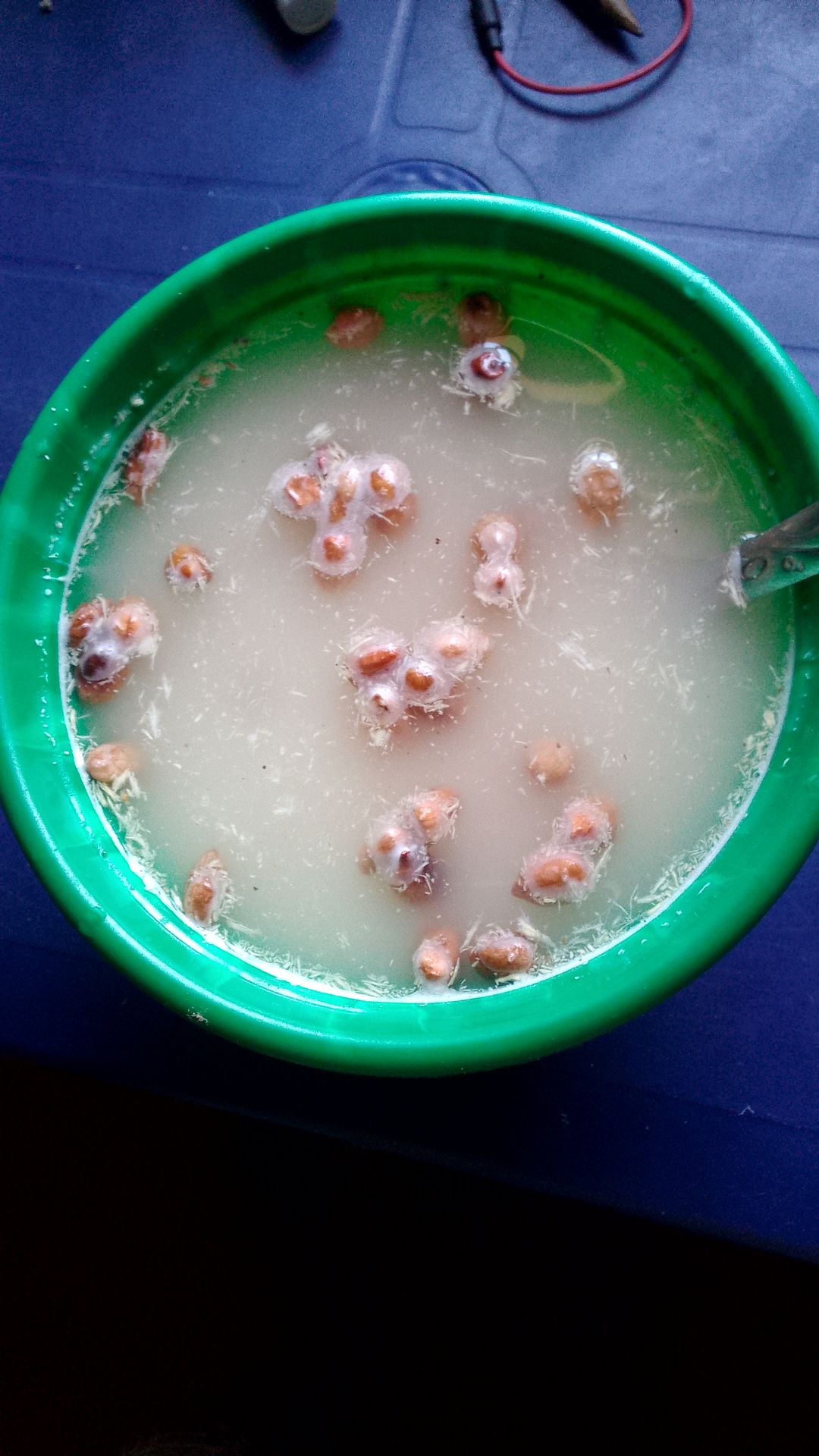 Sulayman Ramat Oyewale's post on Goodwall - A meal made with cassava ...