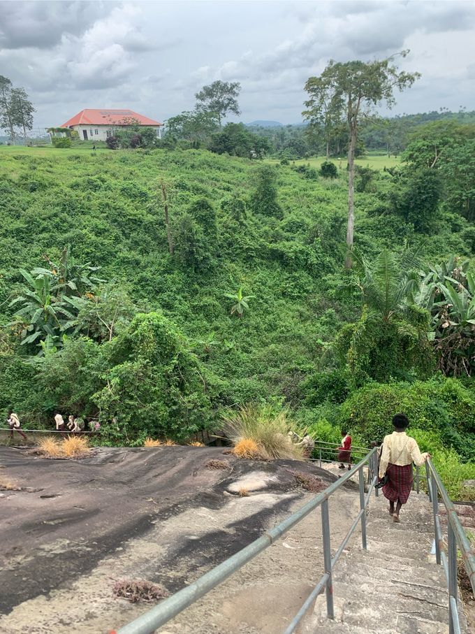Alagbe Esther Olamide's post on Goodwall - Amidst the lush embrace of ...
