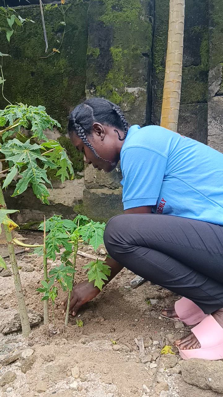 Kaltume Ebirigor's post on Goodwall - Today in Calabar, Cross River ...
