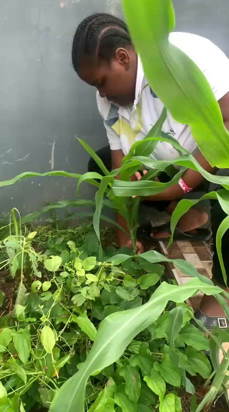 Omo Lade's post on Goodwall - Today at 7 Michael Adeboye Street Lagos ...